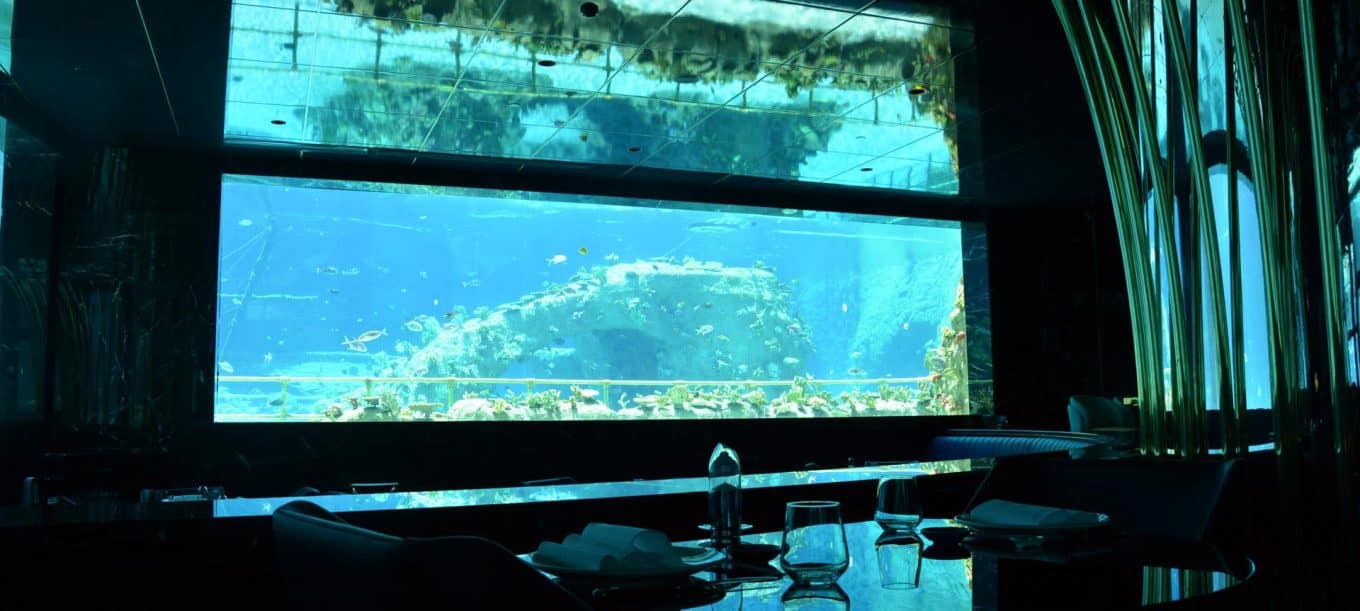 Aquarium Windows Acrylic Panels Installation & Waterproofing
